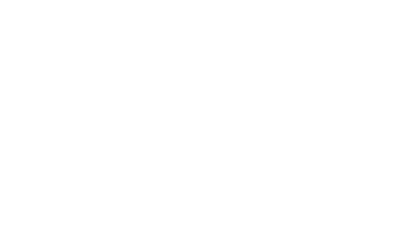 DGS PRO 40 - DGS Boats